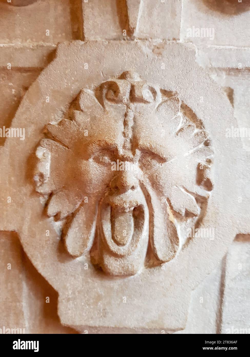 Close up of an antique plaster decoration featuring a mythical creature ...