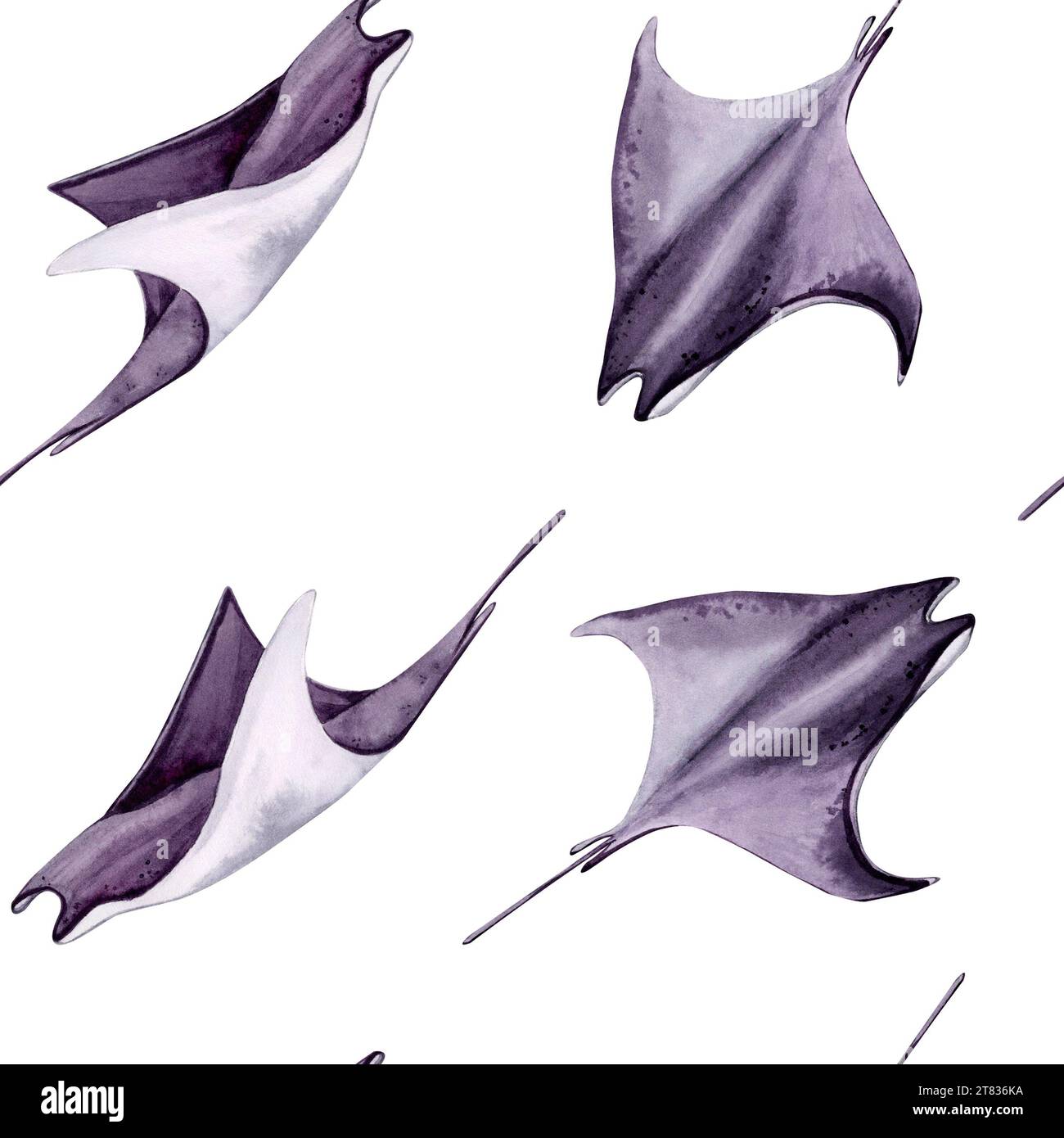 Tropical manta ray sea animals seamless pattern. Hand drawn watercolor ...