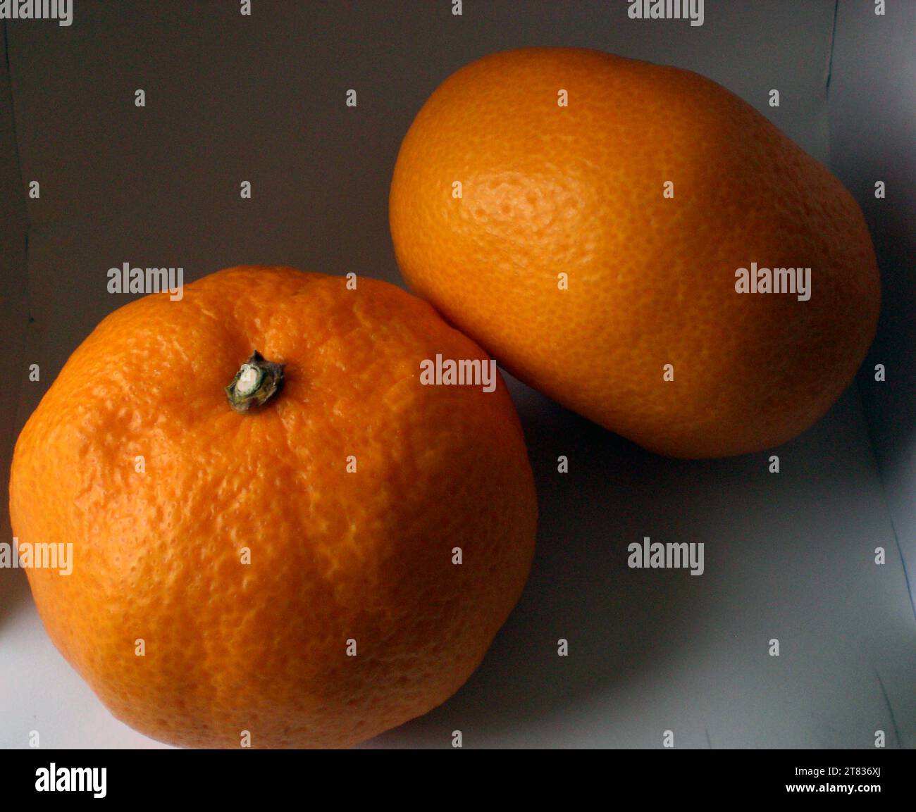 Two tangerines inside a white background box Stock Photo - Alamy