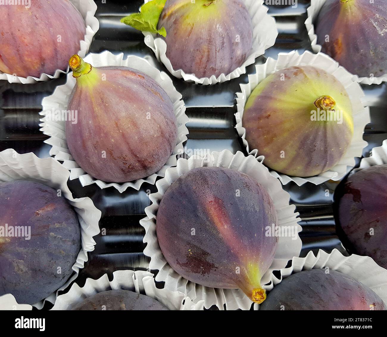 Figs door hi-res stock photography and images - Alamy