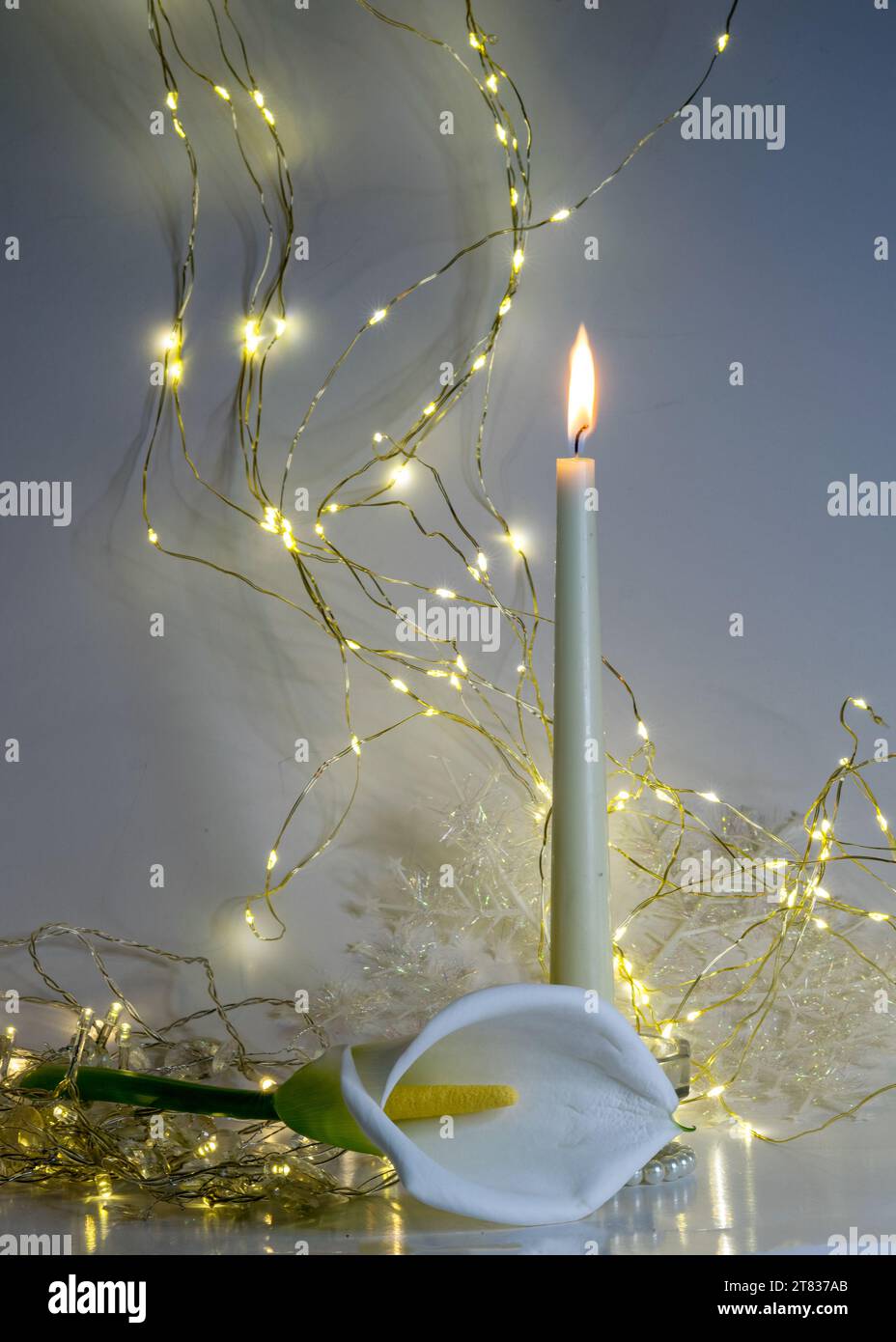 white burning candle, beautiful and noble white callas flower ...