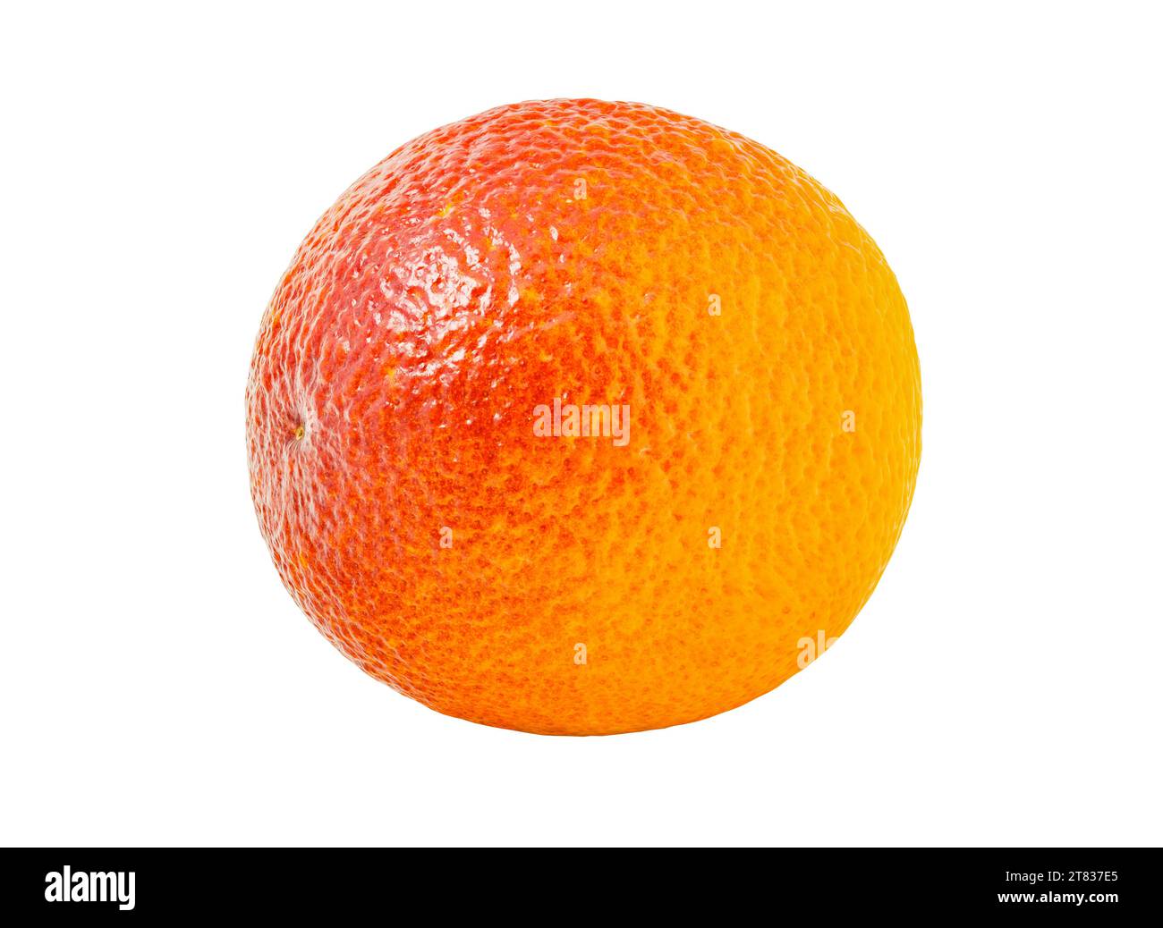 Bloody red orange kara-kara, whole side view, isolated on white ...