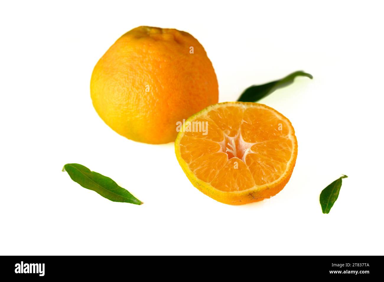 fresh appetizing half tangerine and whole tangerine on a white ...