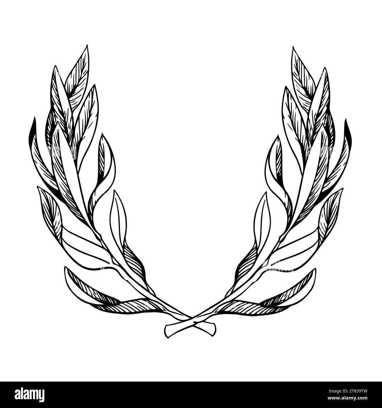 Black and white silhouette of round olive branches. The symbol of ...