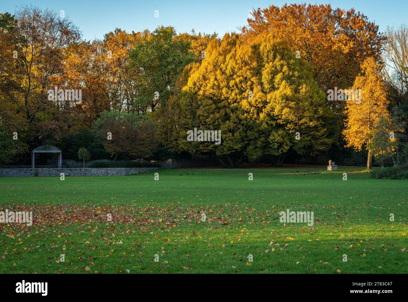 Autumn in Beatrixpark, city park located in Amsterdam south, The ...