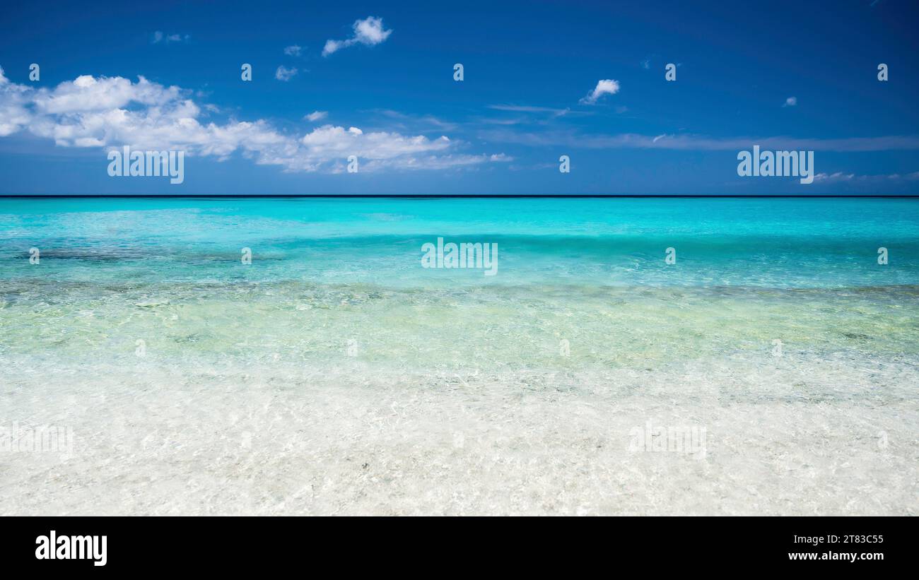 A tropical ocean, with a crystal clear, turquoise sea. The location is ...