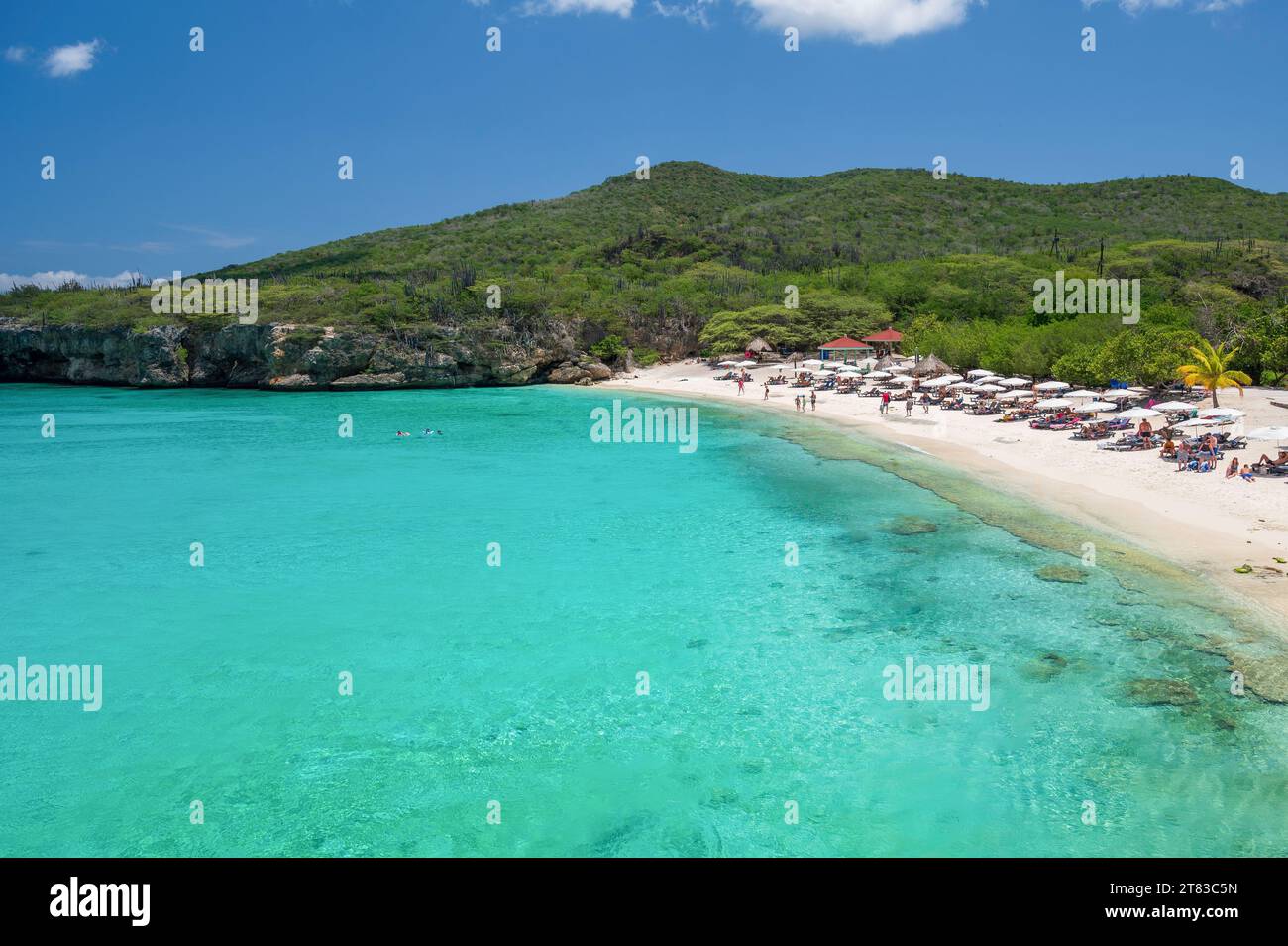 A tropical ocean, with a crystal clear, turquoise sea. The location is ...