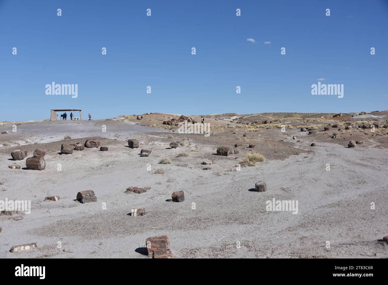 Petrified Forest National Park, AZ., USA. 10/17-18/2023. Crystal Forest ...