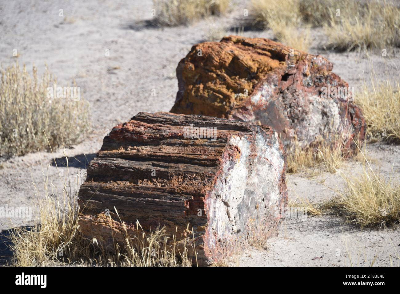 Petrified Forest National Park, AZ., USA. 10/17-18/2023. Crystal Forest ...