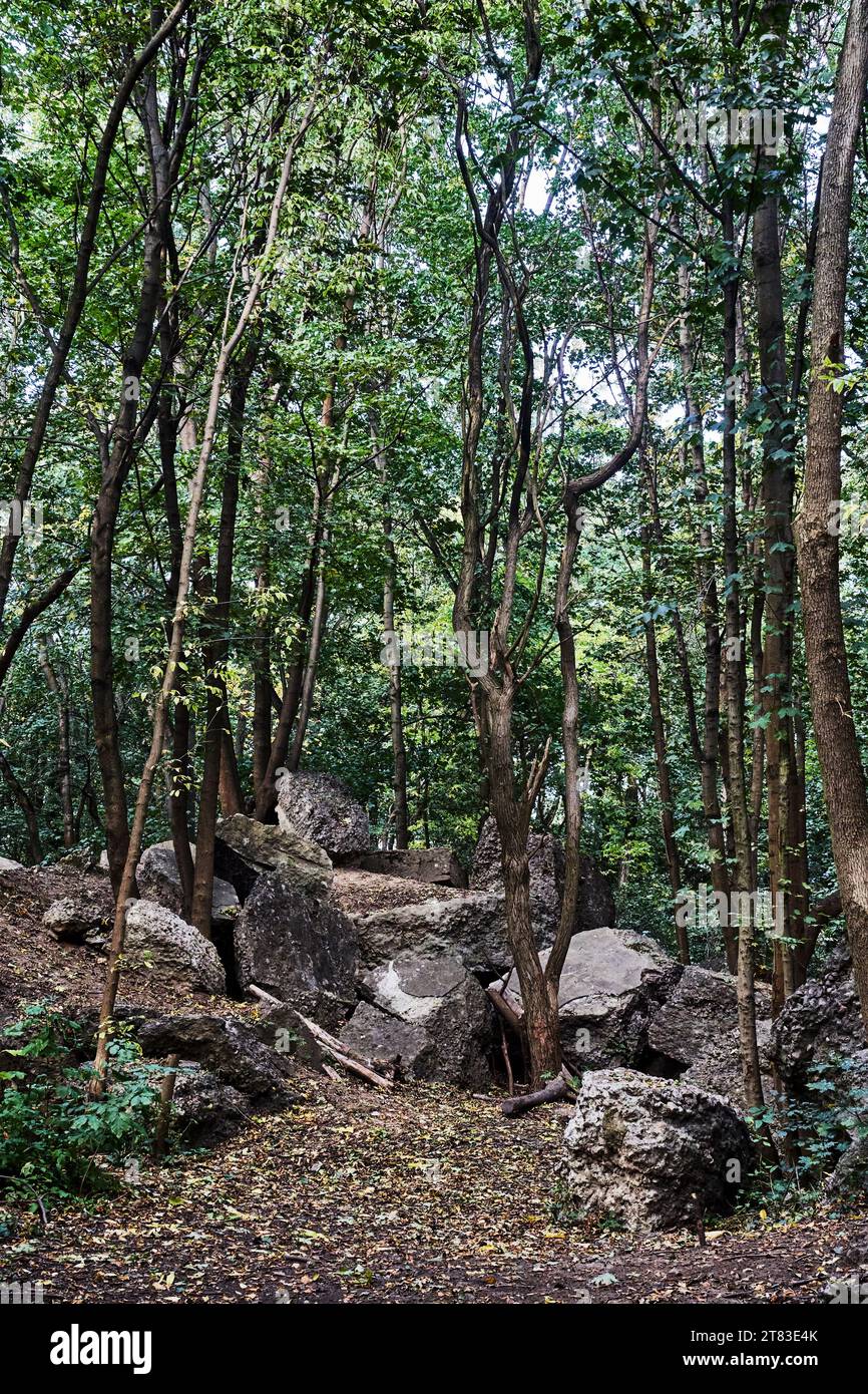 Ruins of a historic Prussian fort blown up in the forest in Poznan ...
