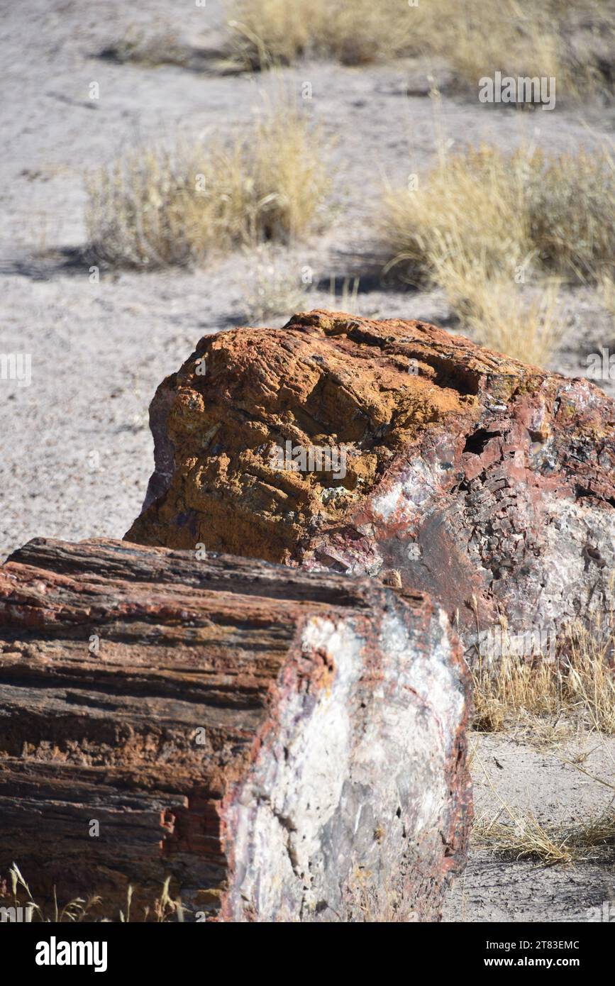 Petrified Forest National Park, AZ., USA. 10/17-18/2023. Crystal Forest ...