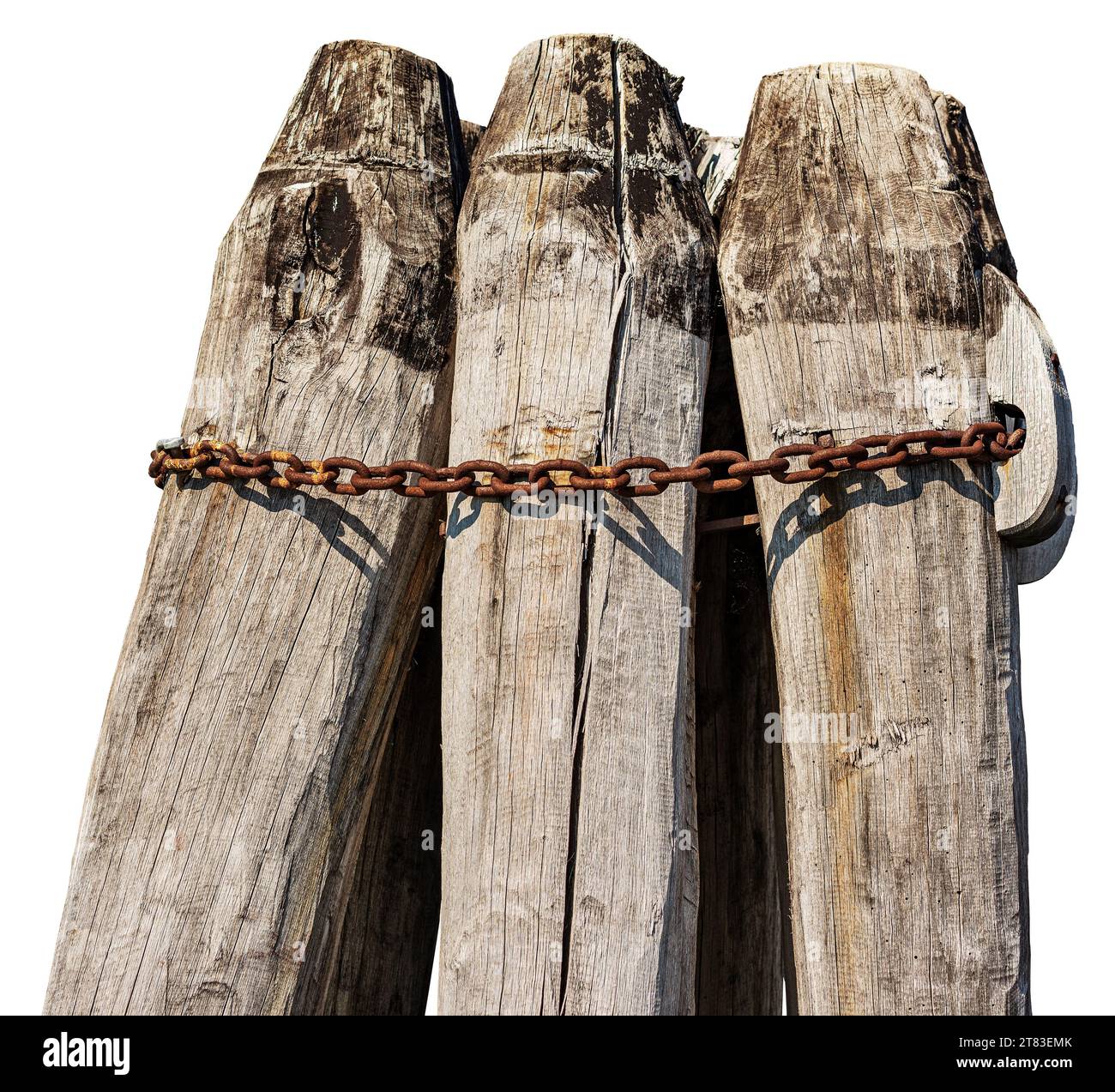 Close-up of a group of large wooden poles implanted in the seabed ...
