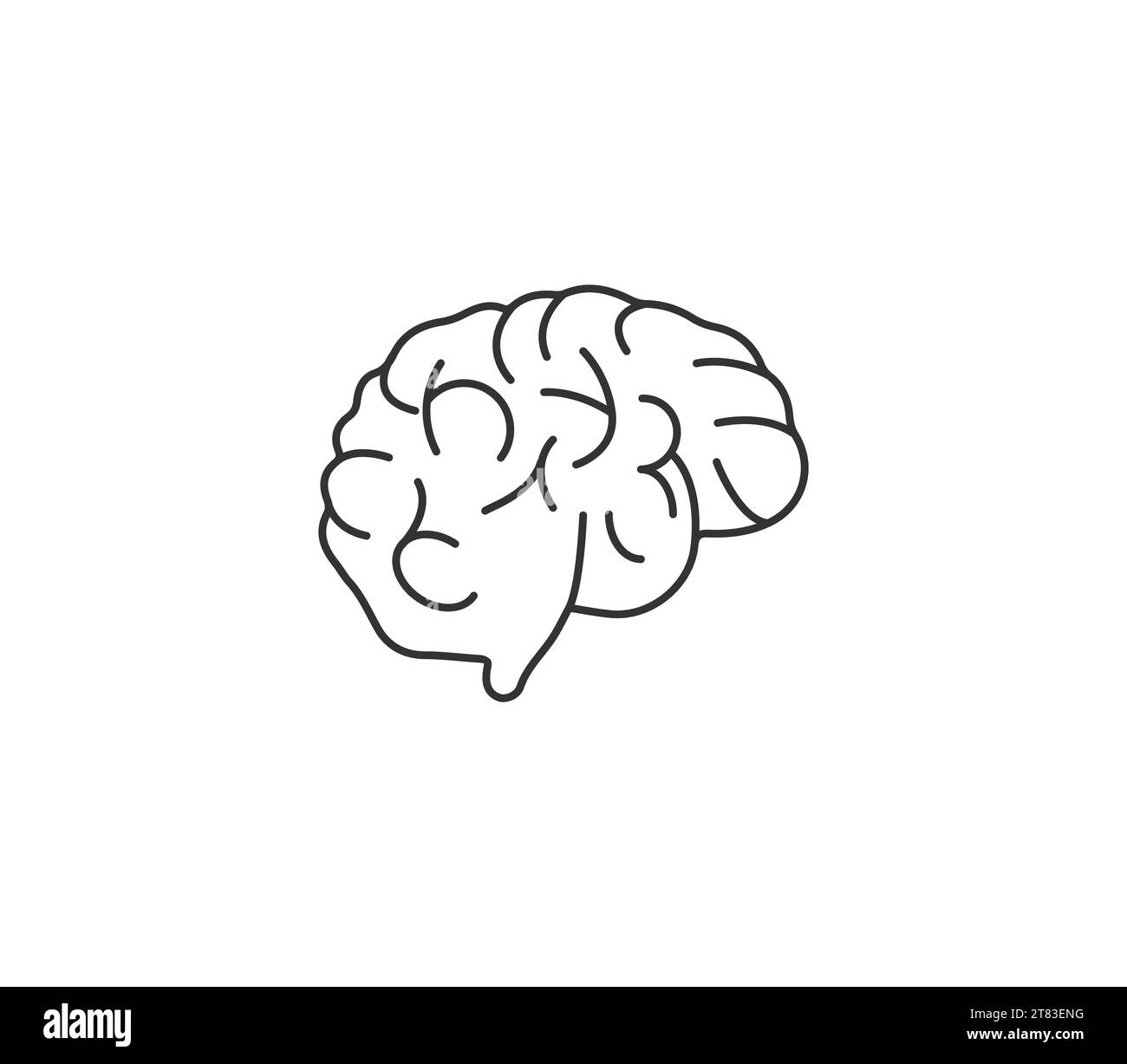 Brain, human brain icon. Vector illustration Stock Vector Image & Art ... Brain, human brain icon. Vector illustration Stock Vector Image & Art ...