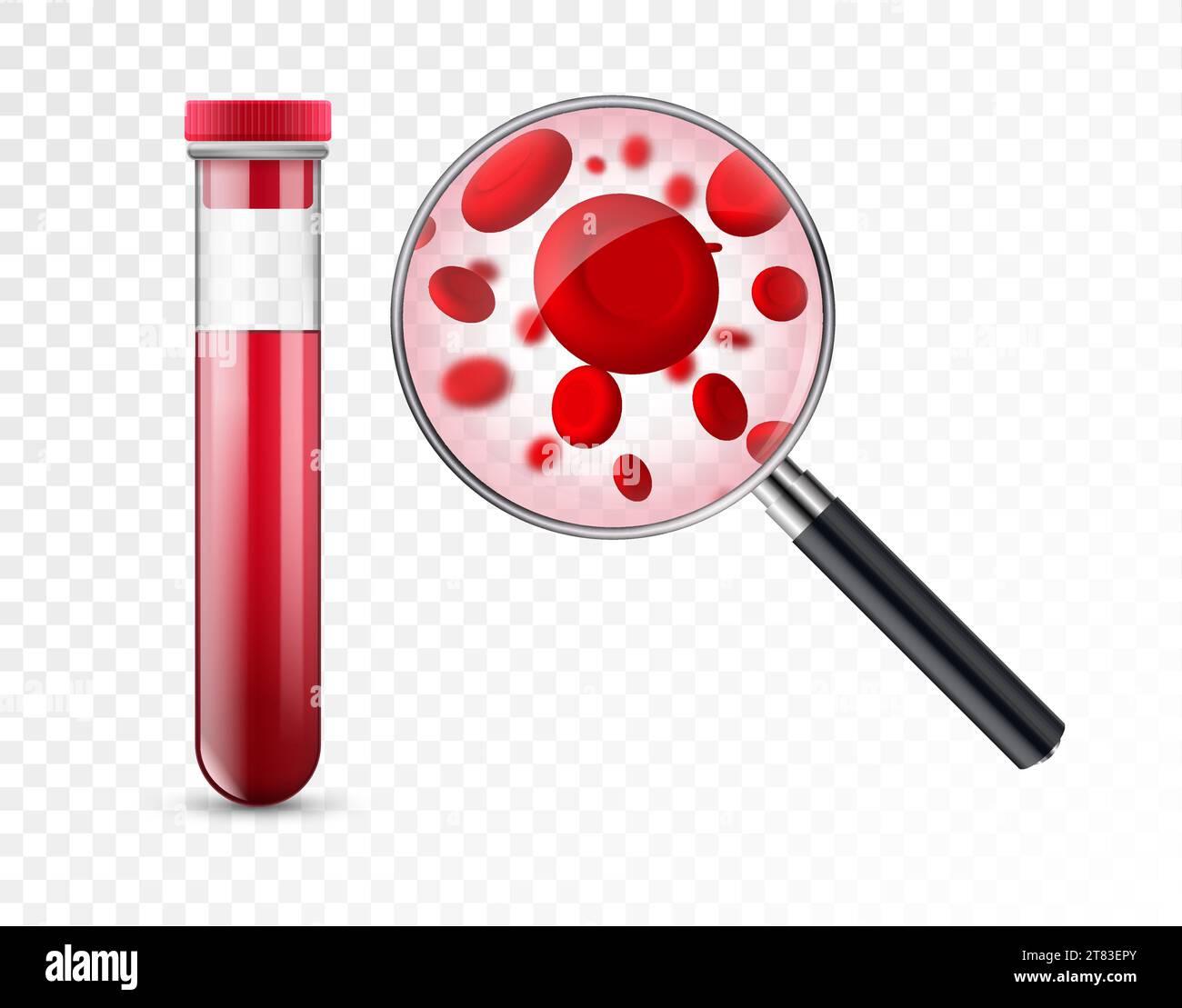 Hematology concept with red blood cell tube laboratory analysis flat ...