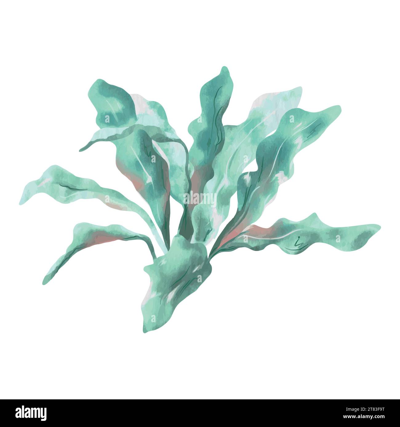 Watercolor deep sea green Stock Vector Images - Alamy