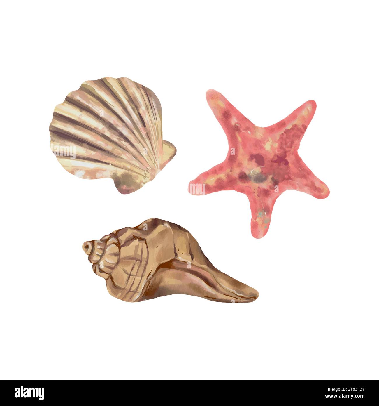 Seashells and starfish. Vector sea illustration in watercolor style ...