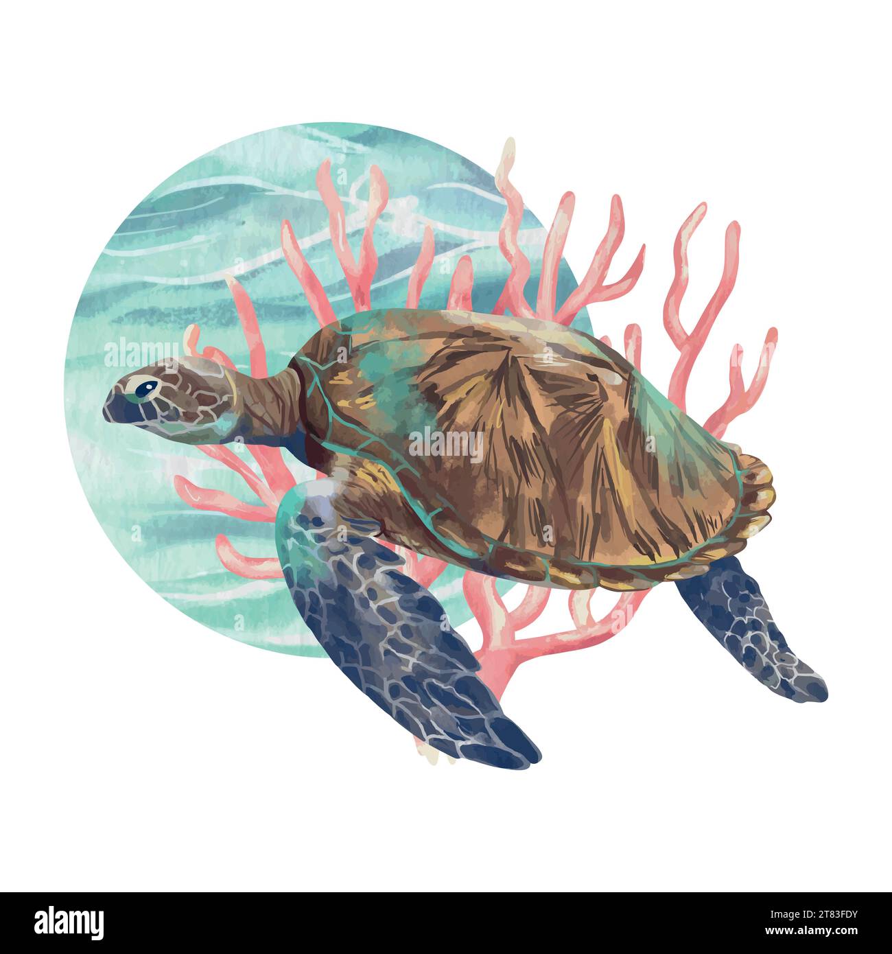 Sea turtle coral reef clear water Stock Vector Images - Alamy