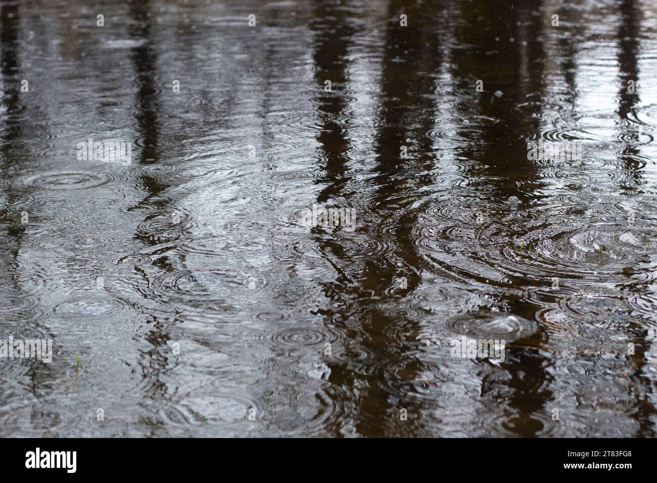 Rain outside. Texture of water. Circles on water. Liquid surface Stock ...