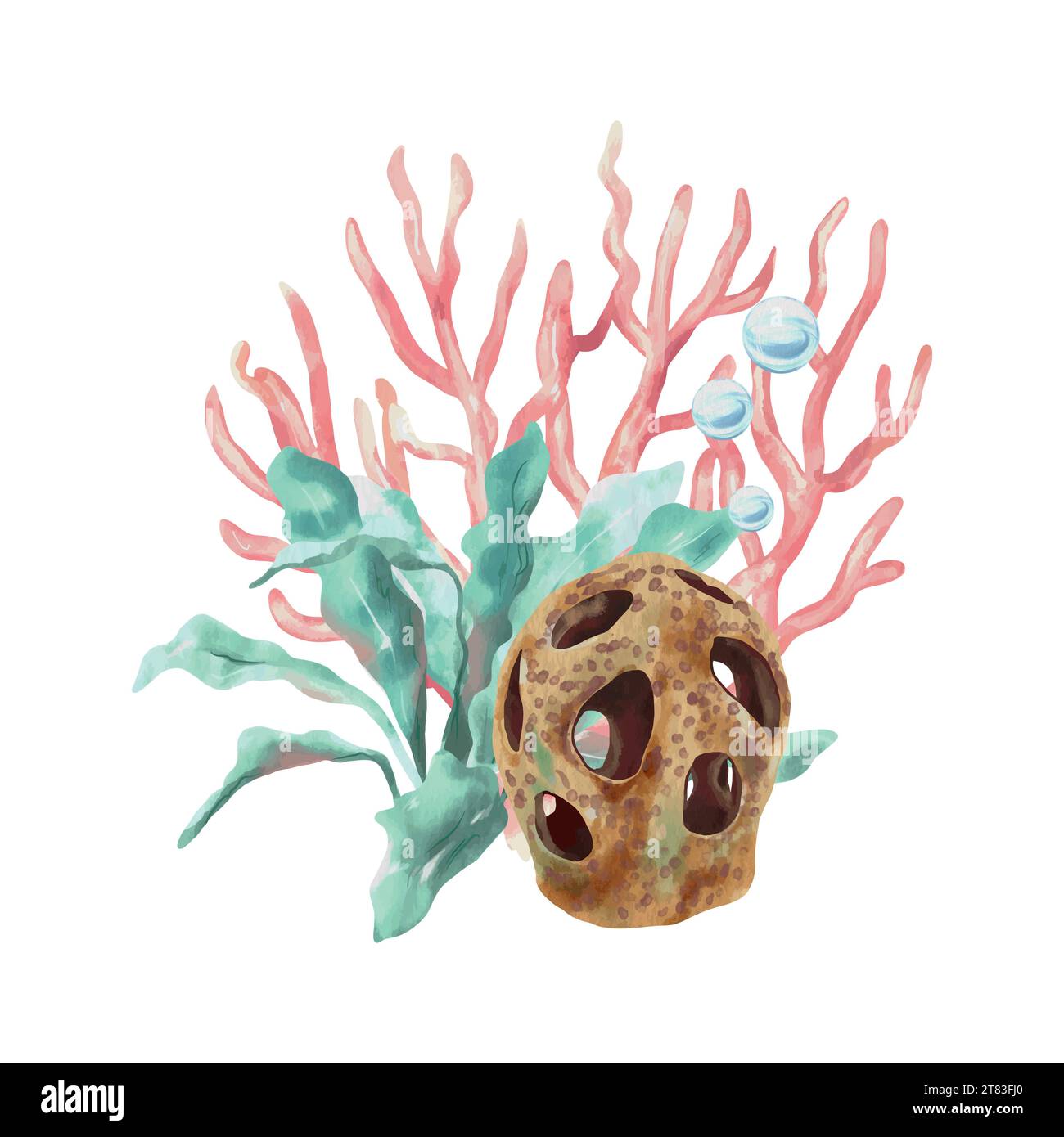 Seaweed, pink coral, sea sponge. Vector sea illustration in watercolor ...