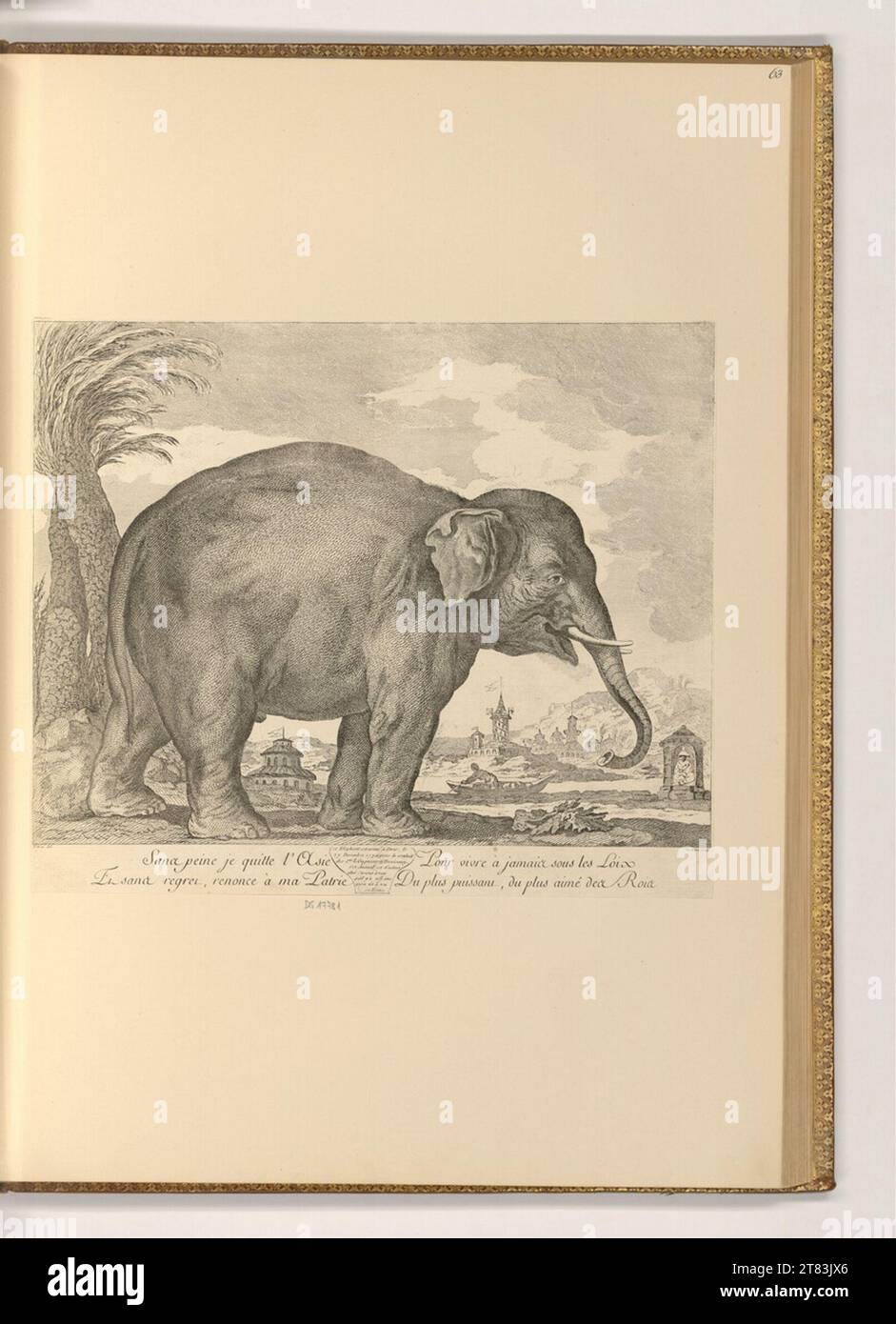 Elephant etching hi-res stock photography and images - Alamy