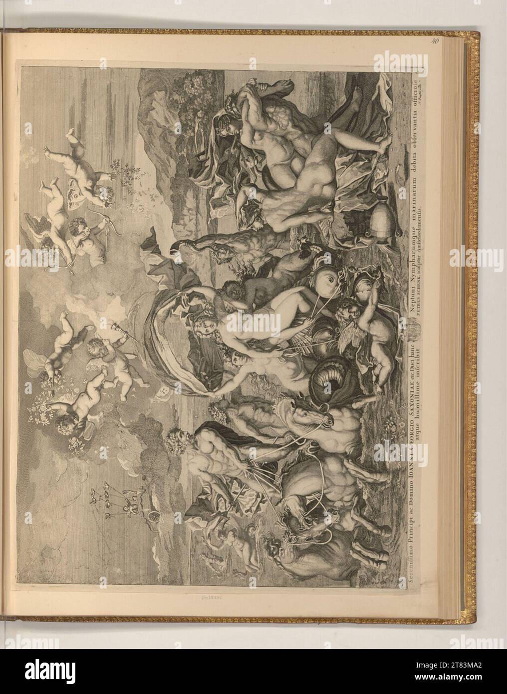 Der triumph der galatea hi-res stock photography and images - Alamy