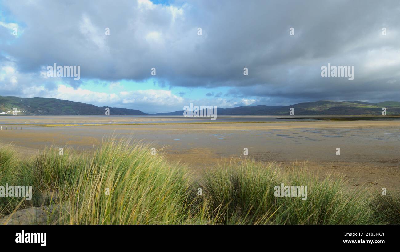 Ynyslas National Nature Reserve, Ceredigion WALES UK Stock Photo - Alamy