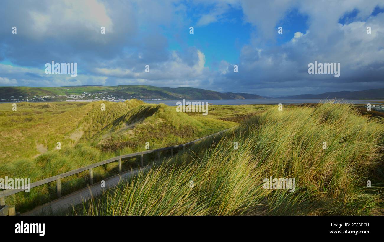 Ynyslas National Nature Reserve, Ceredigion WALES UK Stock Photo - Alamy