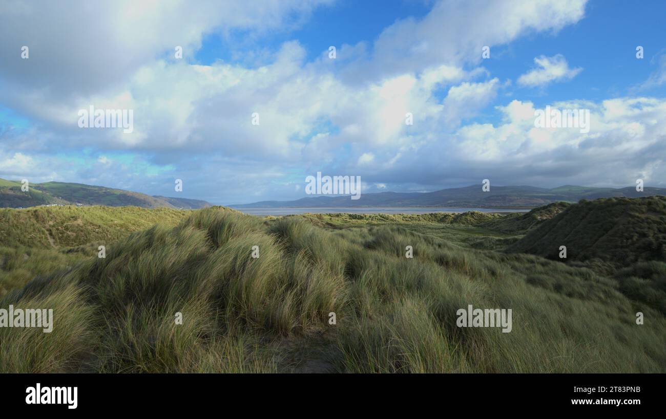 Ynyslas National Nature Reserve, Ceredigion WALES UK Stock Photo - Alamy