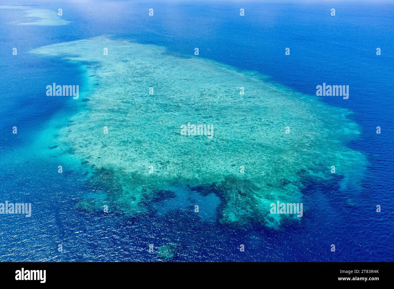 Marine life of Indian Ocean Stock Photo - Alamy