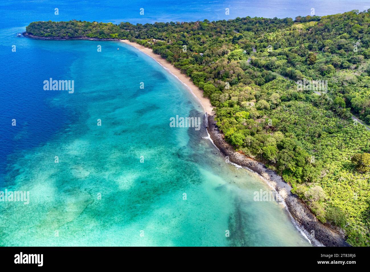 Marine life of Indian Ocean Stock Photo - Alamy