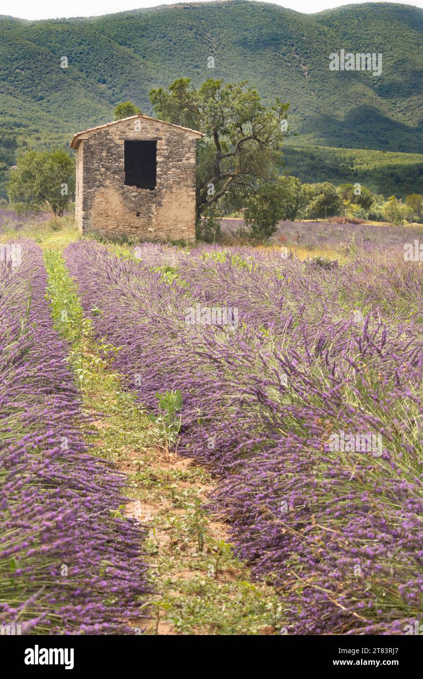 Small stone house hi-res stock photography and images - Alamy