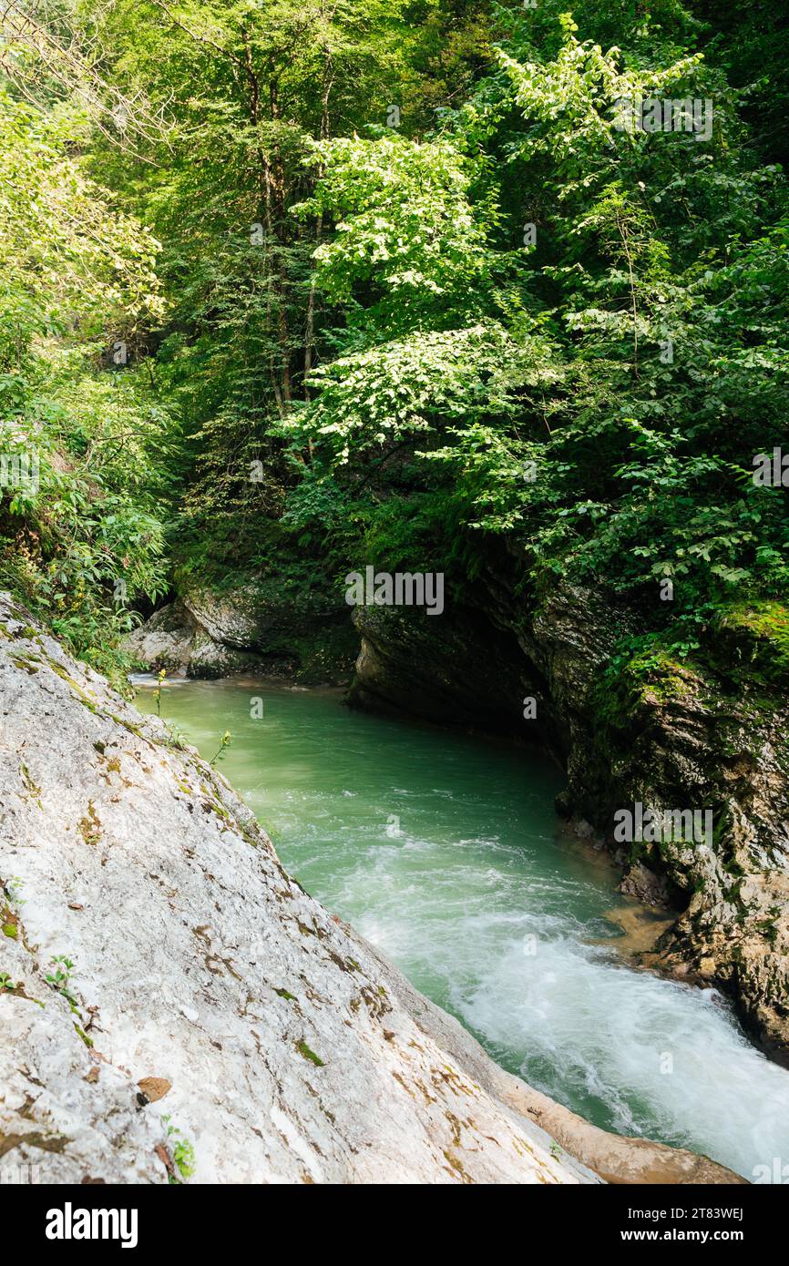 fast river among the rocks in the forest view from above nature Stock ...
