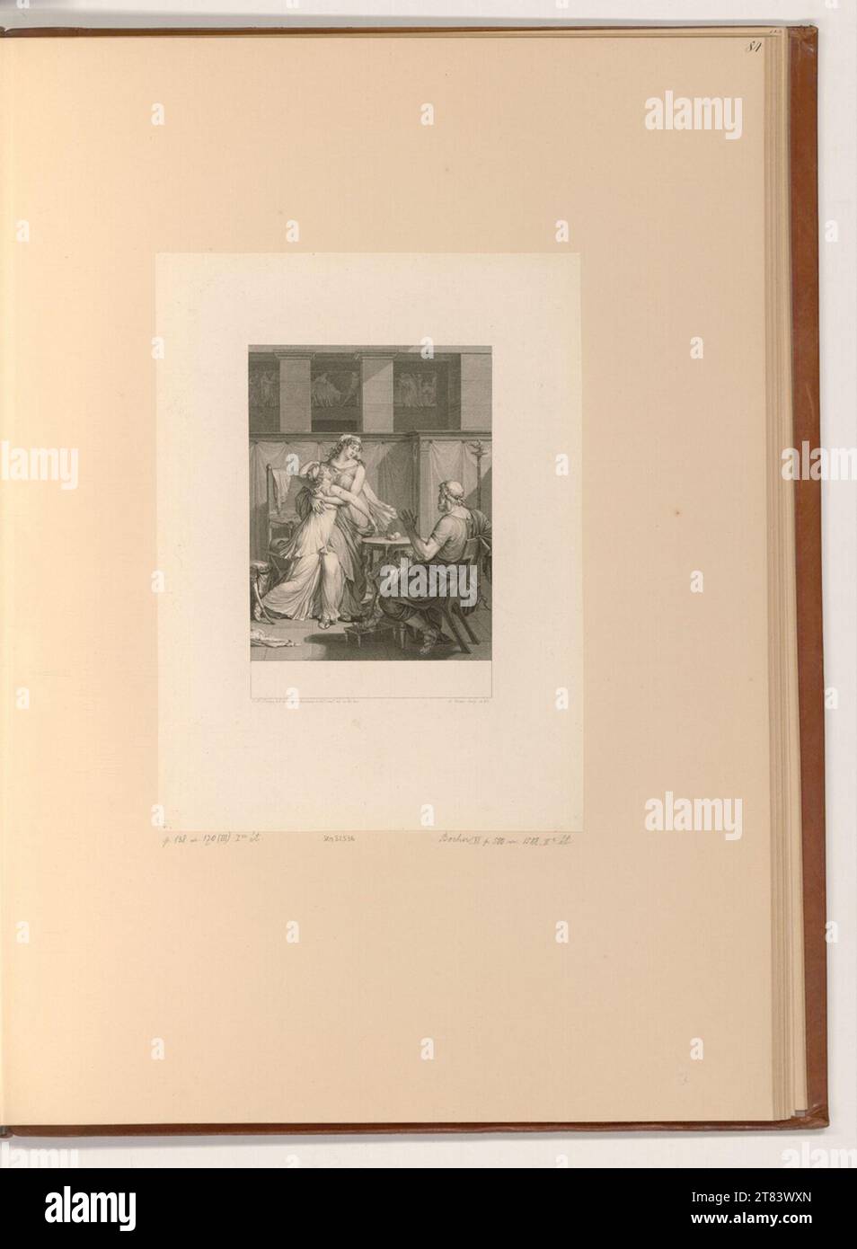 Latinus lavinia hi-res stock photography and images - Alamy