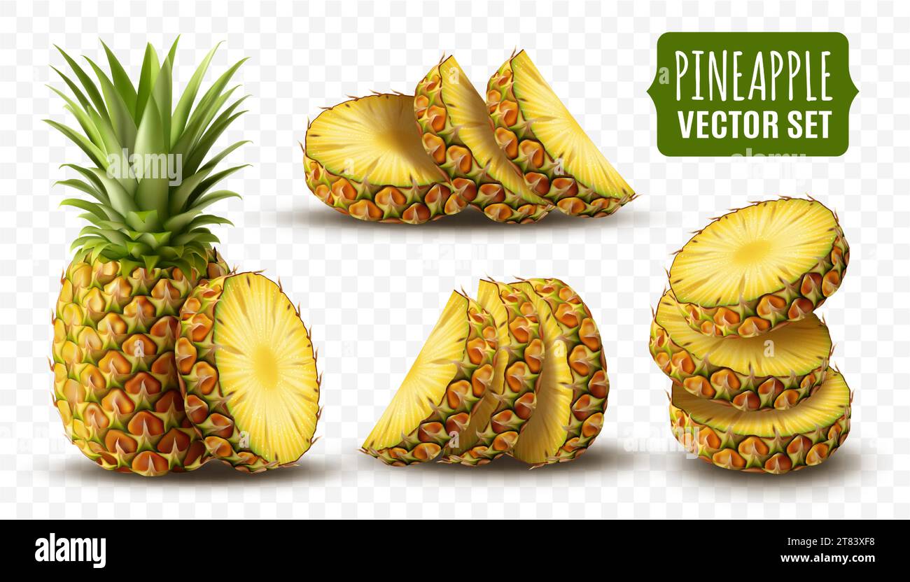 Realistic pineapple. Ananas slices, half and whole fruit, juice ...