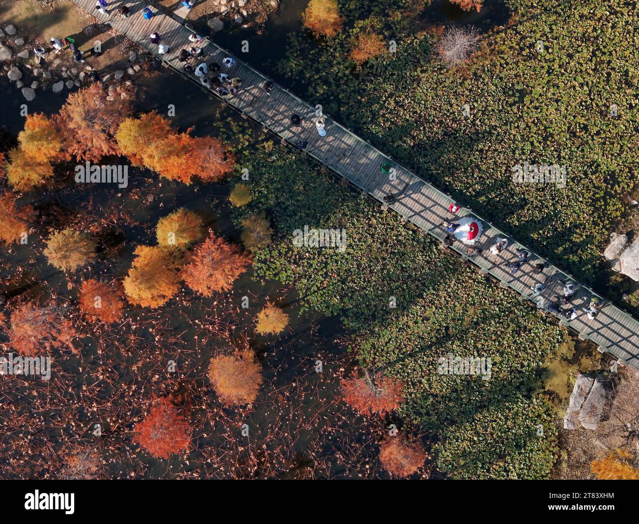 Beijing, China. 18th Nov, 2023. This aerial photo taken on Nov. 18 ...