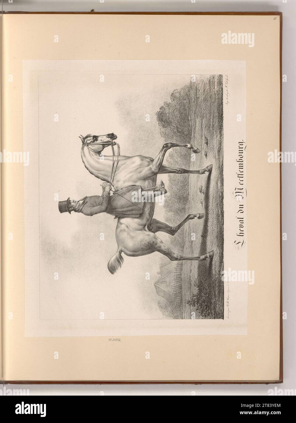 François Séraphin Delpech (Lithograph in) Horse of Mecklembourg ...