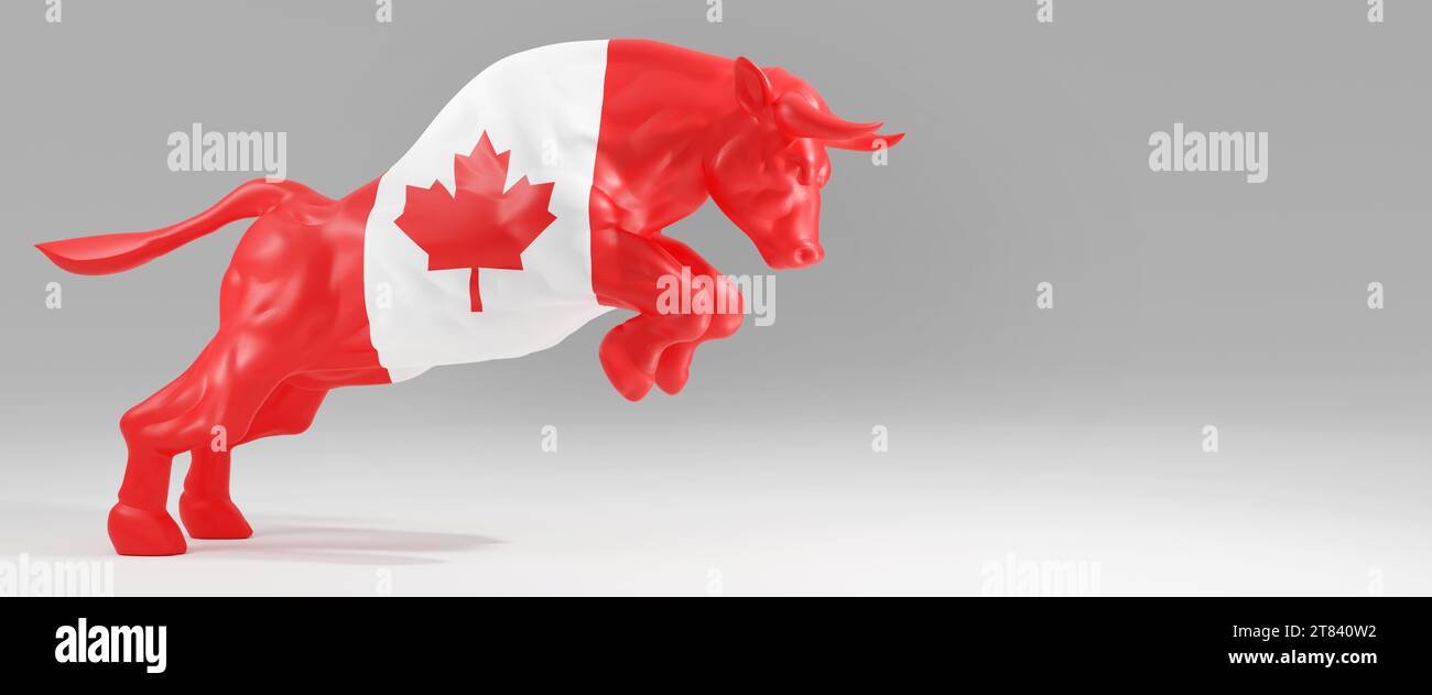 Horizontal banner of a bull with Canada flag on plain empty grey ...