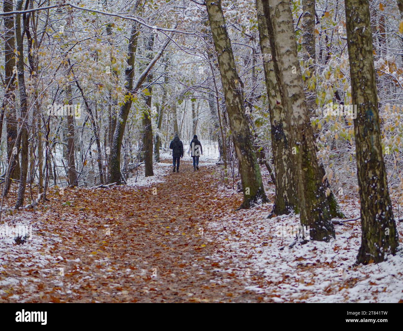 Two men walking on forest hi-res stock photography and images - Alamy