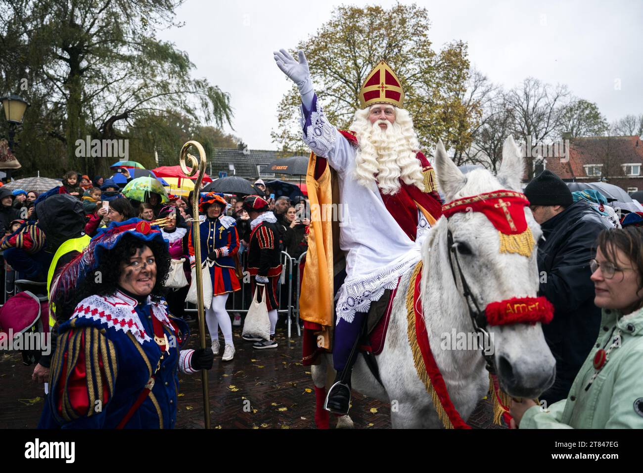 Art culture and entertainment sinterklaas celebration hi-res stock ...