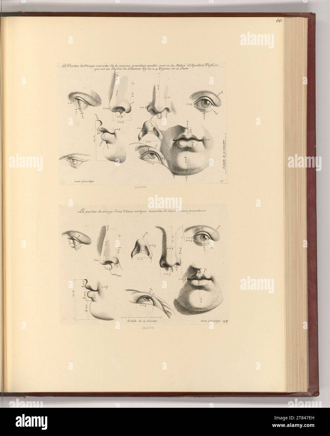 Nicolas Poussin Proportion studies of the human body (details from the ...