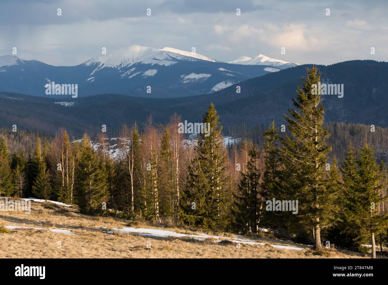 Early spring landscape in a very wild place near Arshytsya ridge in ...