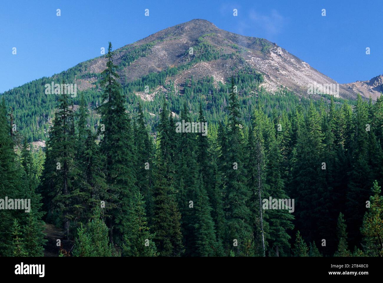 Diamond Peak from Rockpile Lake Trail, Diamond Peak Wilderness ... Diamond Peak from Rockpile Lake Trail, Diamond Peak Wilderness ...