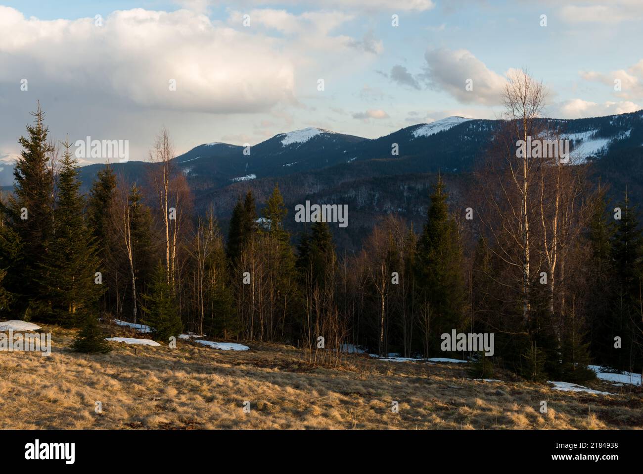 Early spring landscape in a very wild place near Arshytsya ridge in ...