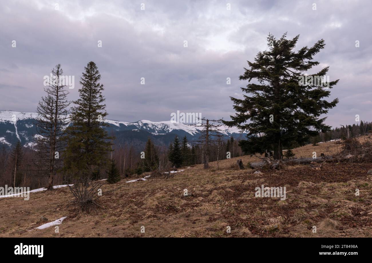 Early spring landscape in a very wild place near Arshytsya ridge in ...