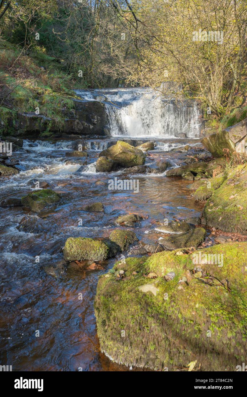 Waterfall on the Afon Caerfanell in the Blaen y Glyn gorge, Bannau ...
