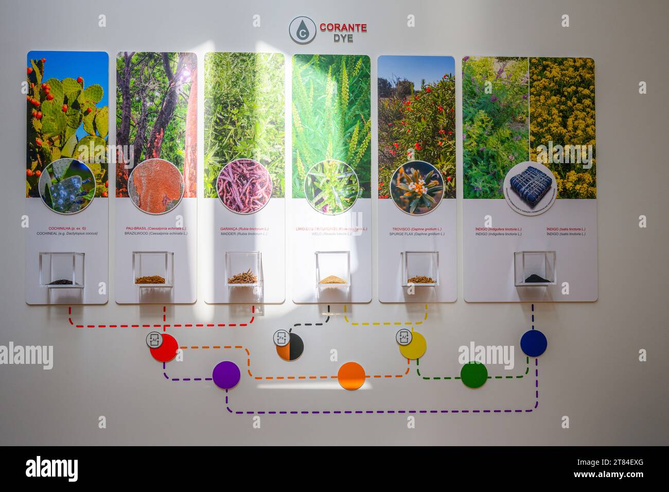 wool dyed in traditional methods with natural plant based colours at ...