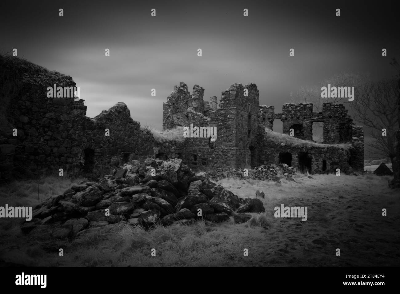 pitsligo castle near rosehearty aberdeenshire scotland Stock Photo - Alamy