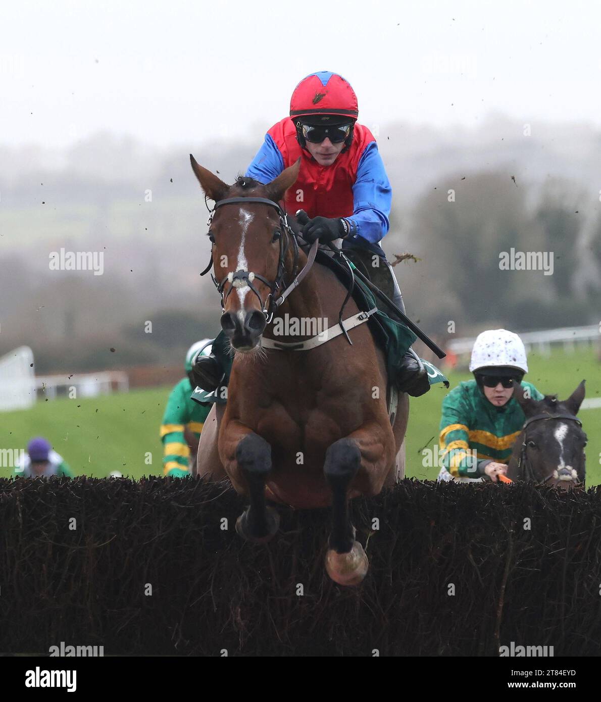 Facile vega chase racecourse hi-res stock photography and images - Alamy