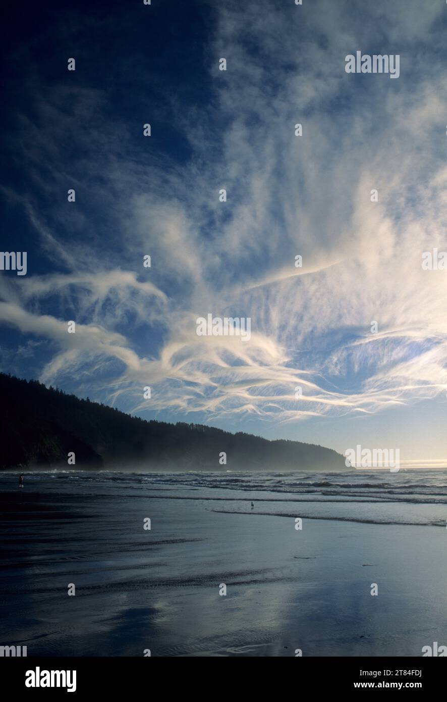 Cape Lookout from Netarts Spit, Cape Lookout State Park, Oregon Stock ...