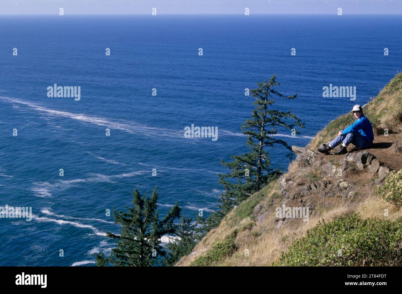 View from Cape Lookout trail, Cape Lookout State Park, Oregon Stock ...